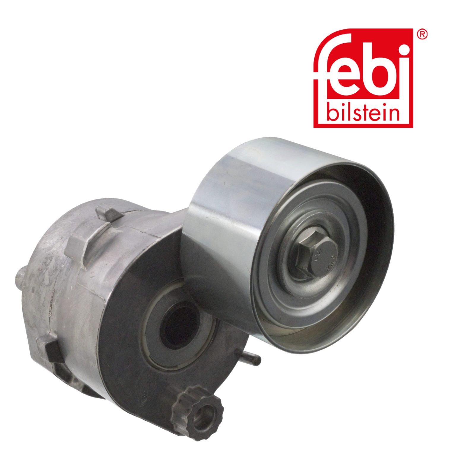 TENSIONER ASSEMBLY (4572004570) - LPM TRUCK PARTS