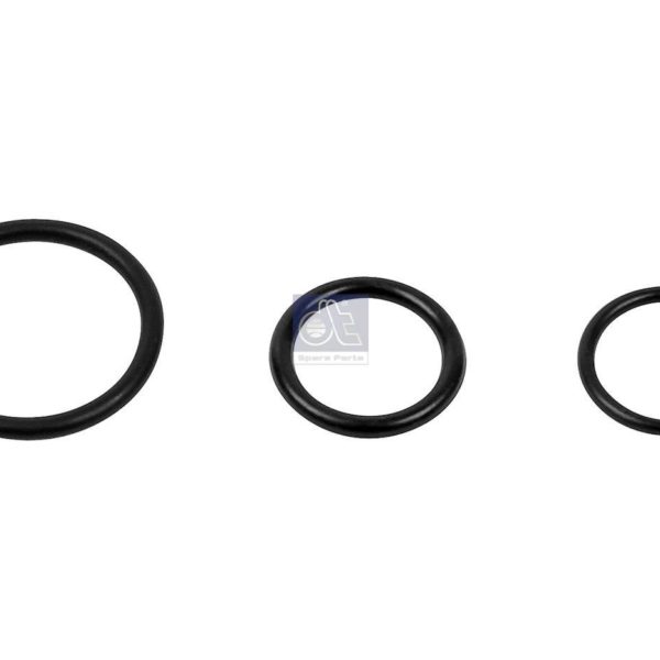 ORING KIT (0149973445 - 0229978145) - LPM TRUCK PARTS